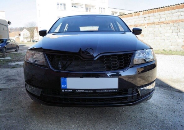 Kuhler Grill fur Skoda RAPID 99 00